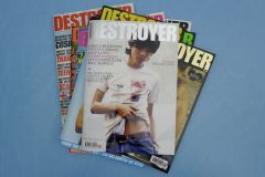 Destroyer - NewgonWiki